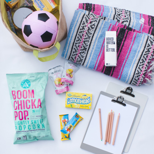 SPRING-READY CAR CADDY - RAE ANN KELLY