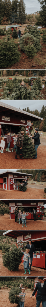 A HOLIDAY BUCKET LIST + PHOTOS FROM THE TREE FARM - RAE ANN KELLY