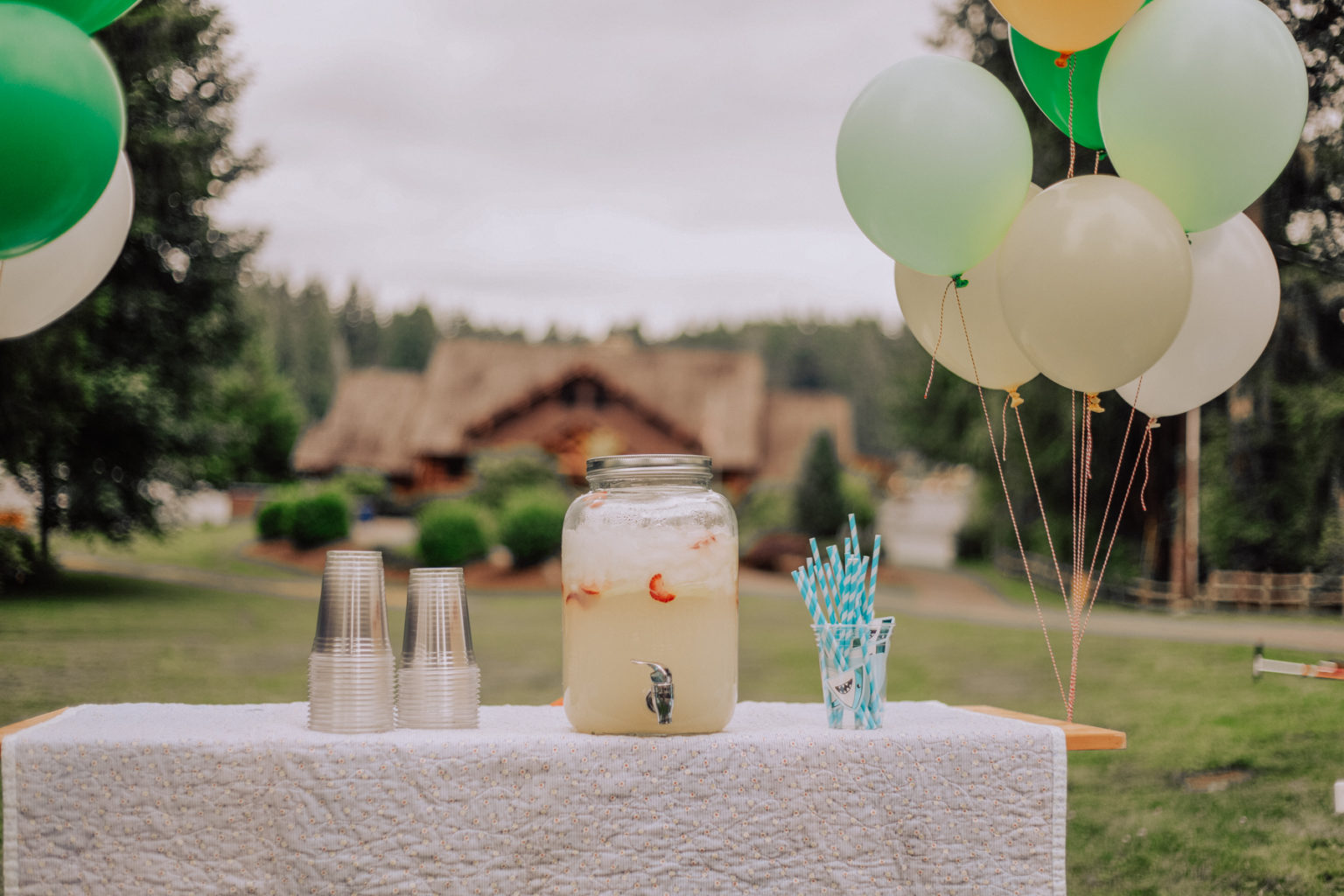 MINI MAKERS: A LEMONADE STAND CHECKLIST & RECIPE (& LOTS OF PICS ...