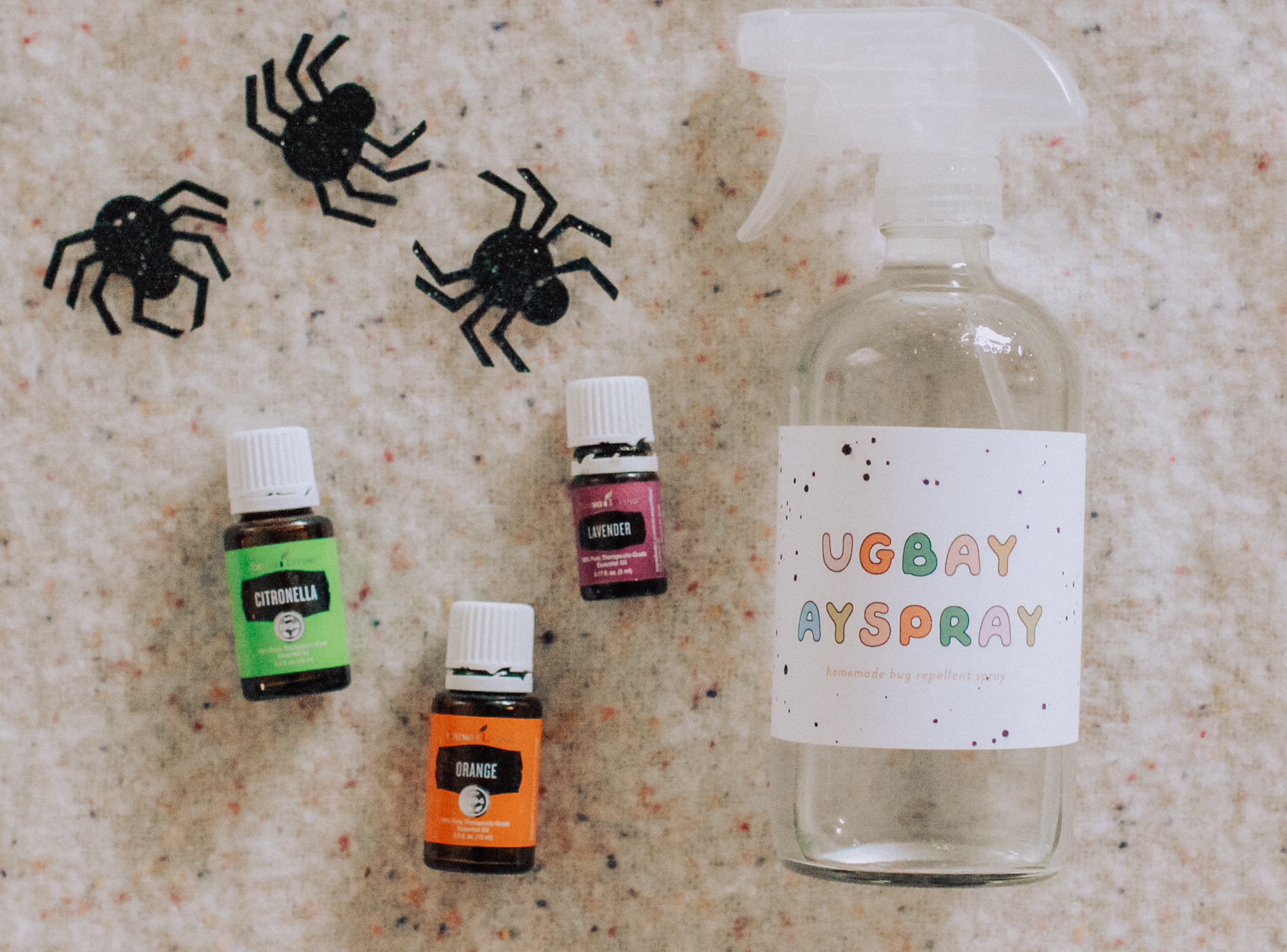 DIY NON-TOXIC BUG + SPIDER SPRAY - RAE ANN KELLY
