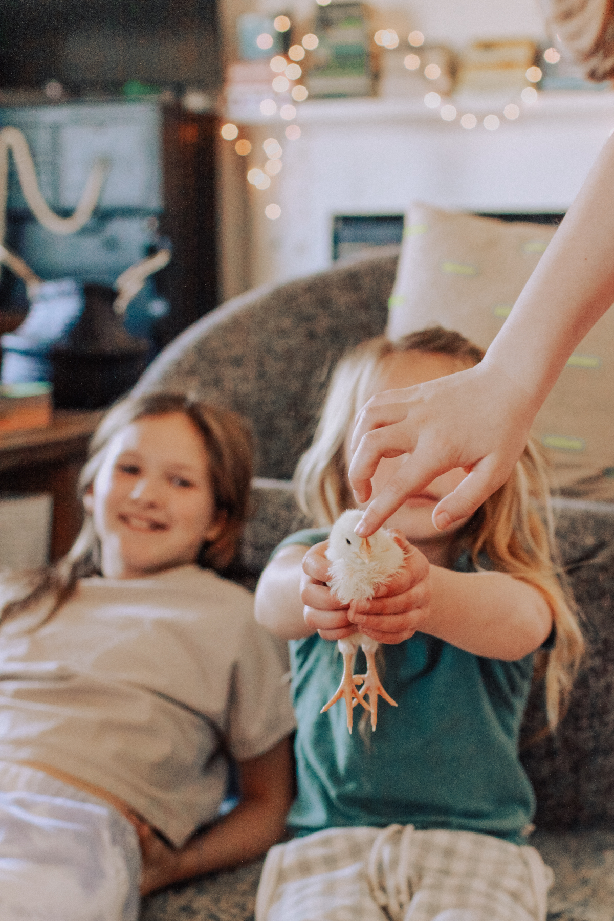 THE ONE WHERE WE BECOME CHICKEN FARMERS (MEET THE BABY CHICKS) - RAE ...