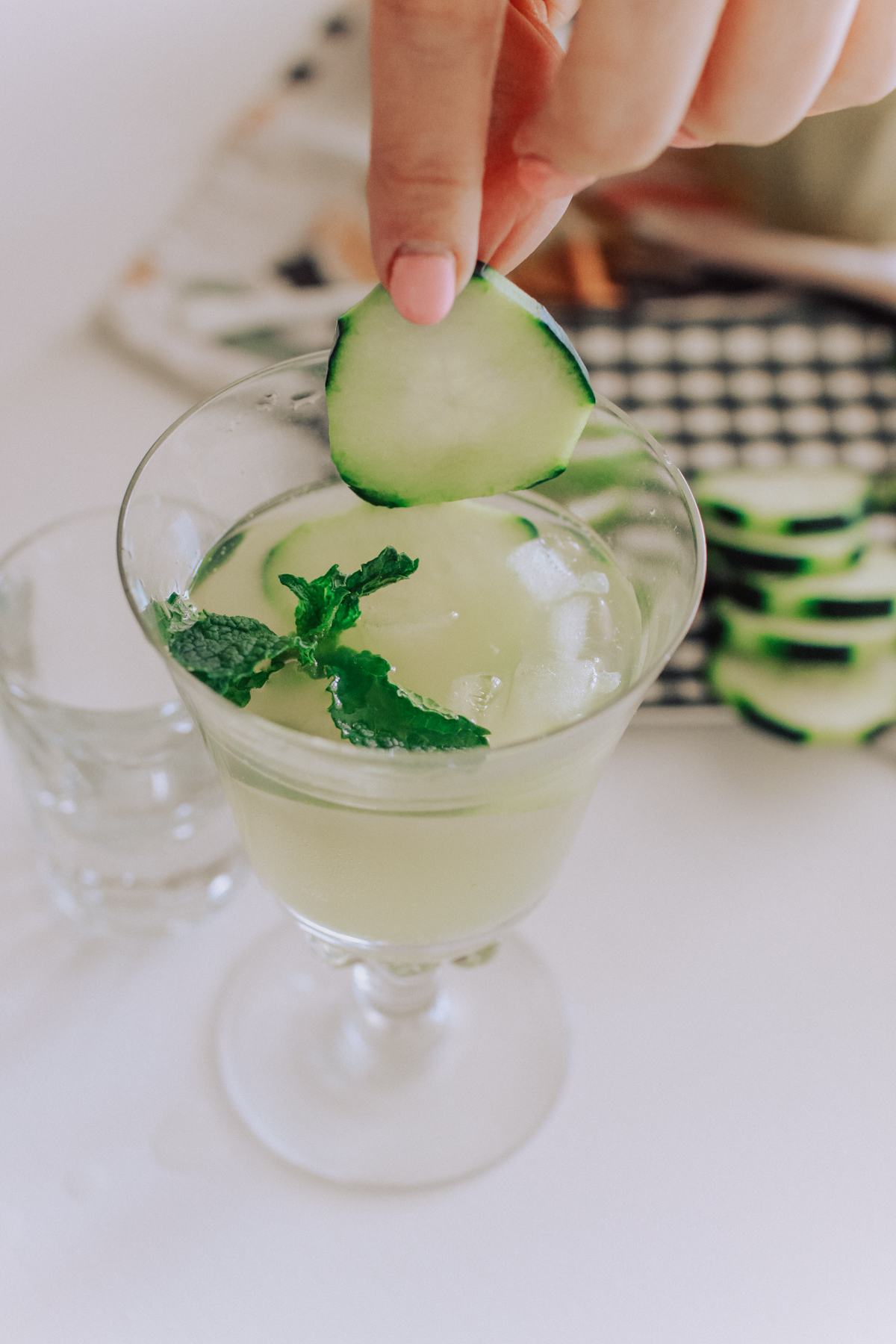 HAPPY HOUR: GARDEN COCKTAIL RECIPE - RAE ANN KELLY