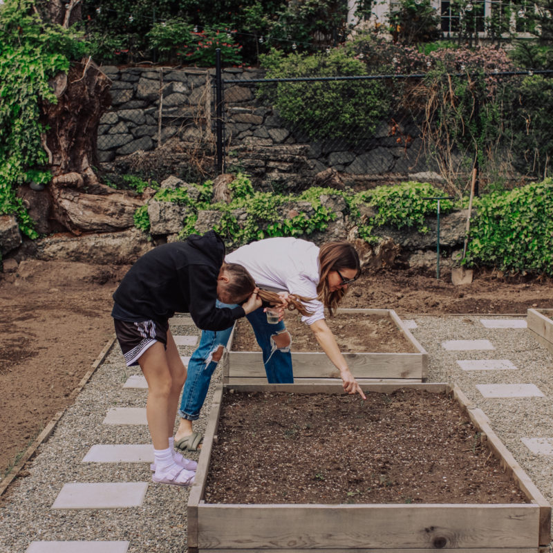 MINI MAKERS: PAPER PLATE BUNNY MASK - RAE ANN KELLY